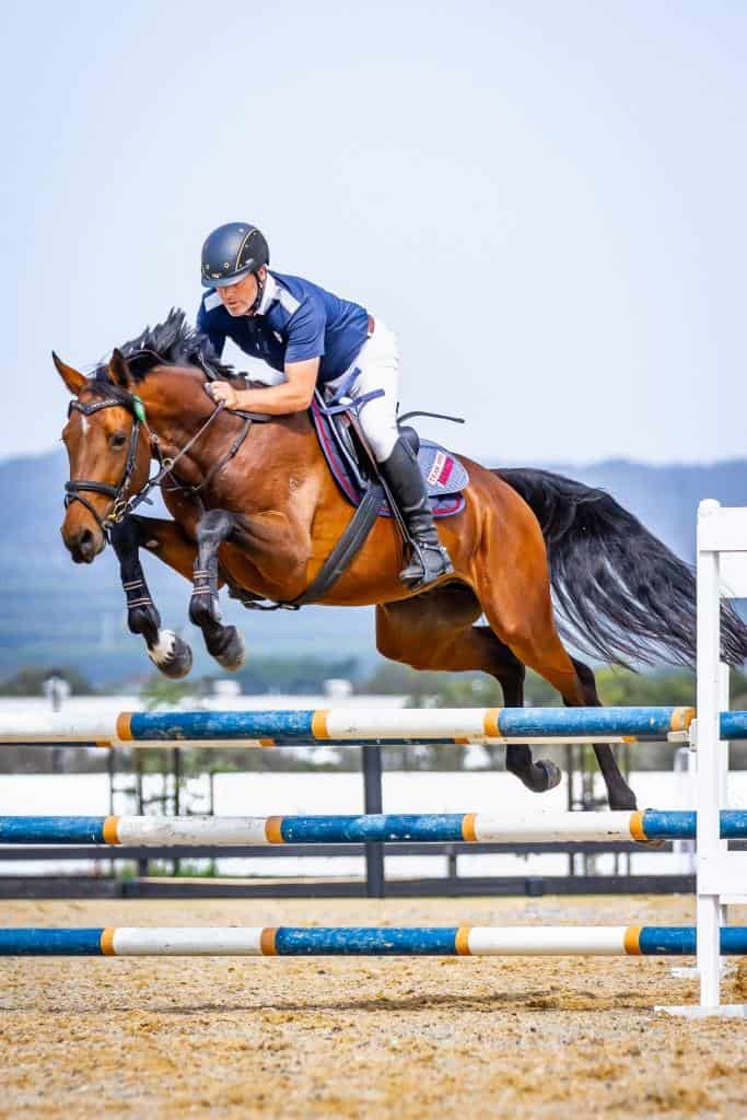 Cera Ducati – Lals Haven Warmbloods