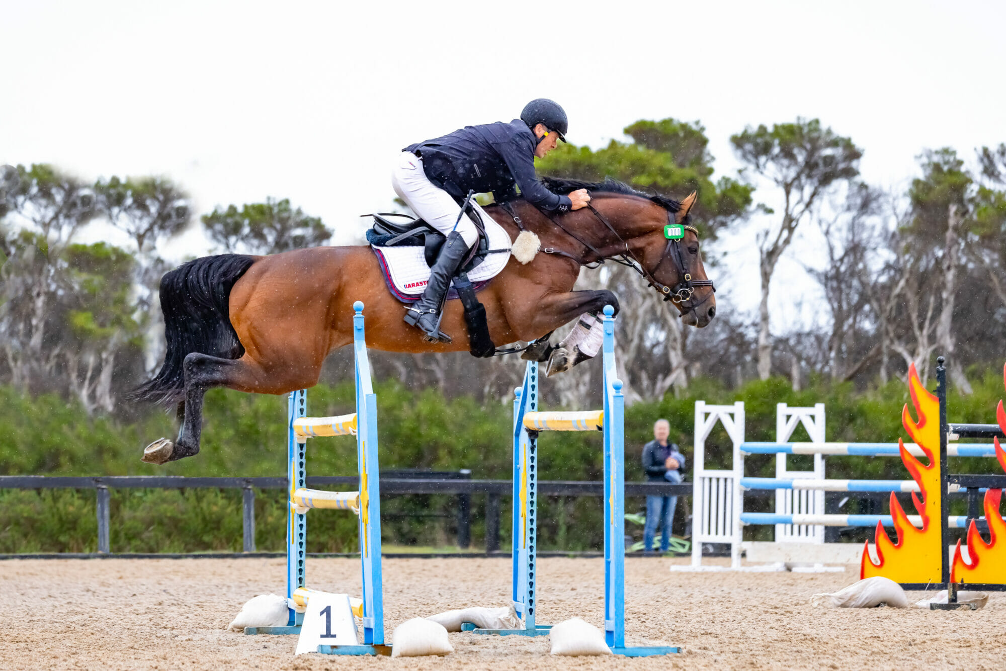 Wes and Cera Ducati - Lals Haven Warmbloods